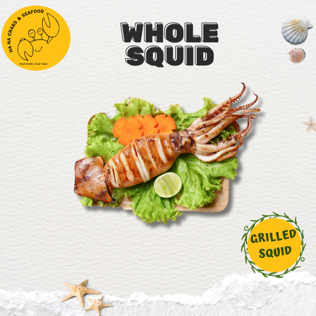 Whole Squid 整条苏东 (600g-700g/pkt) - Ha Ha Crabs and Seafood