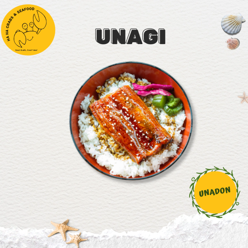 Unagi (Eel) | Perfect for Unagi Don & Sushi