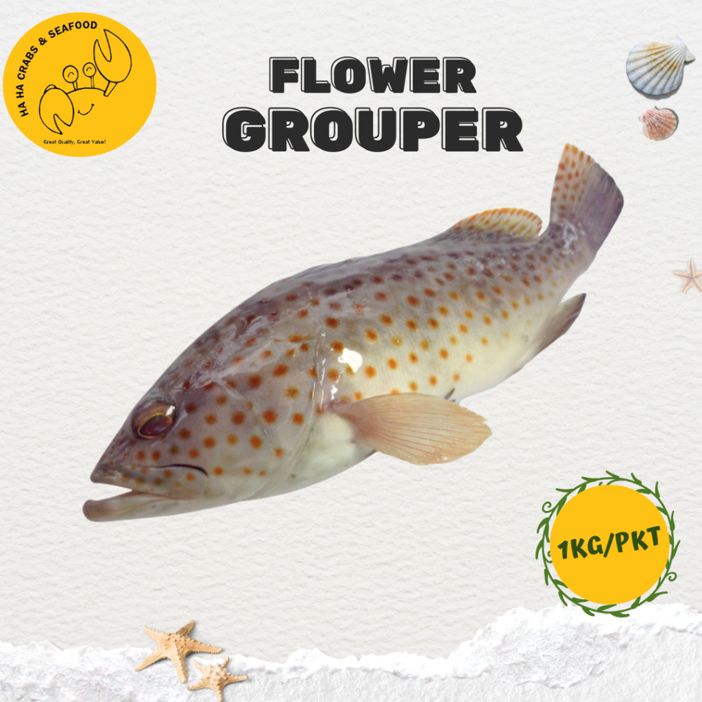 Flower Grouper Fish (花斑鱼) | Gutted & Ready for Cooking