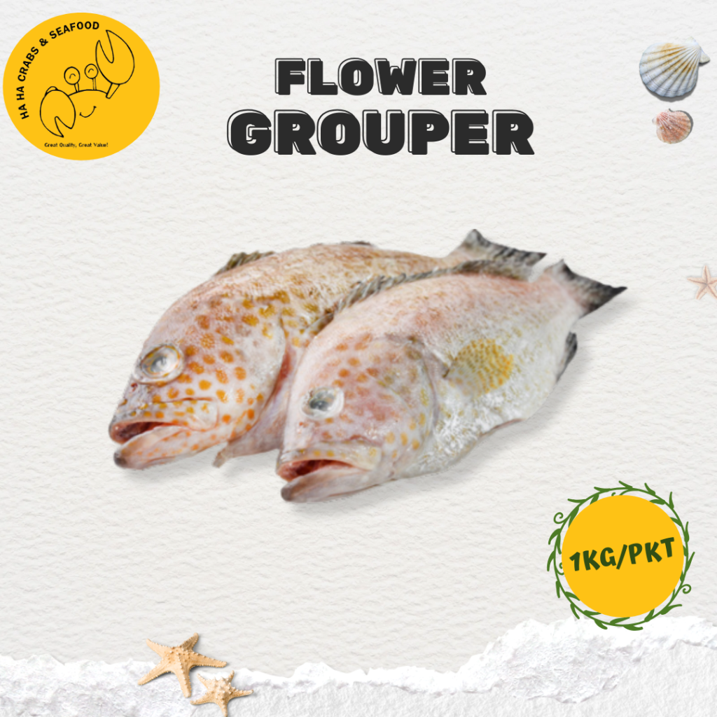 Flower Grouper Fish (花斑鱼) | Gutted & Ready for Cooking