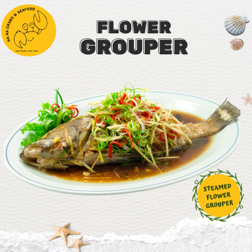 Flower Grouper Fish (花斑鱼) | Gutted & Ready for Cooking