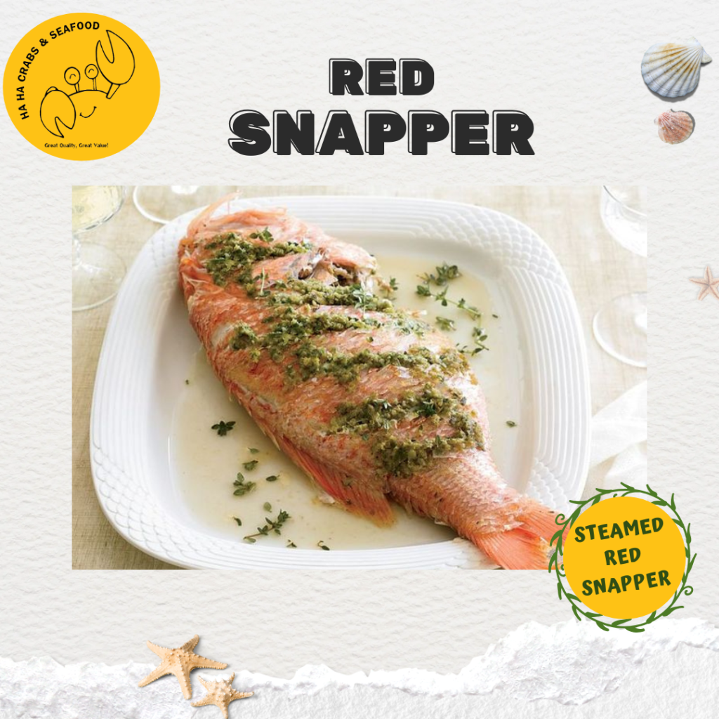 Red Snapper 红鸡鱼 (Precut 500g-600g/pc) - Ha Ha Crabs and Seafood