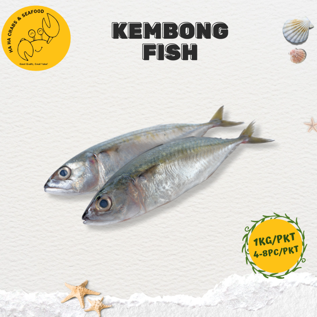 Kembong (Indian Mackerel) 甘望鱼 | Cleaned & Vacuum Packed