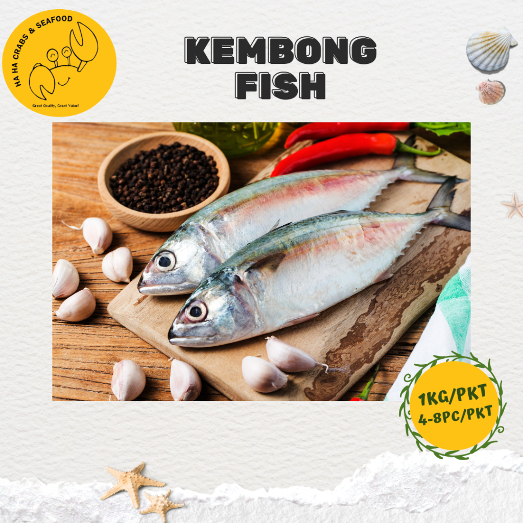 Kembong (Indian Mackerel) 甘望鱼 | Cleaned & Vacuum Packed