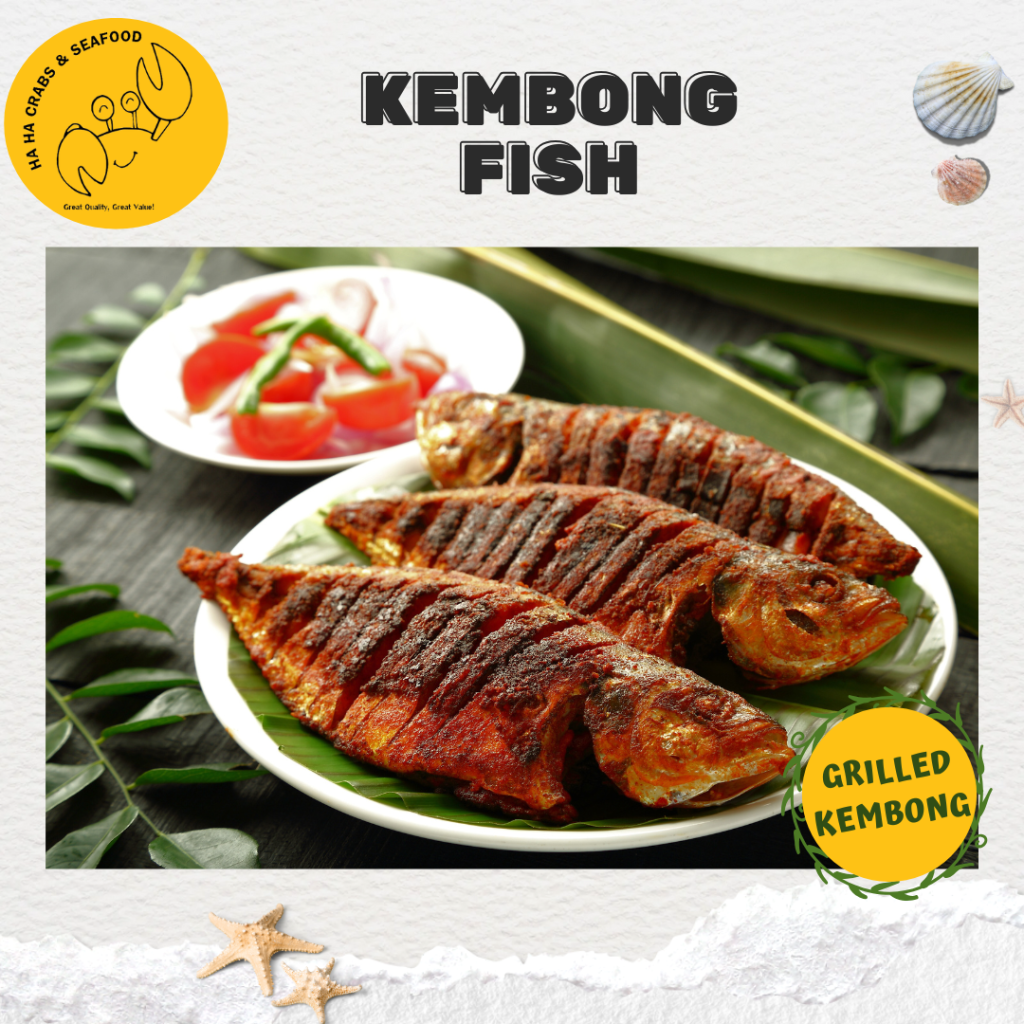 Kembong (Indian Mackerel) 甘望鱼 | Cleaned & Vacuum Packed