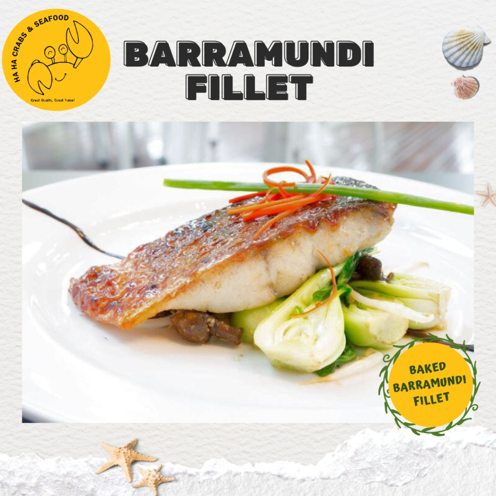 Buy Barramundi Fillet (Siakap/金目鲈) | Versatile for Any Dish