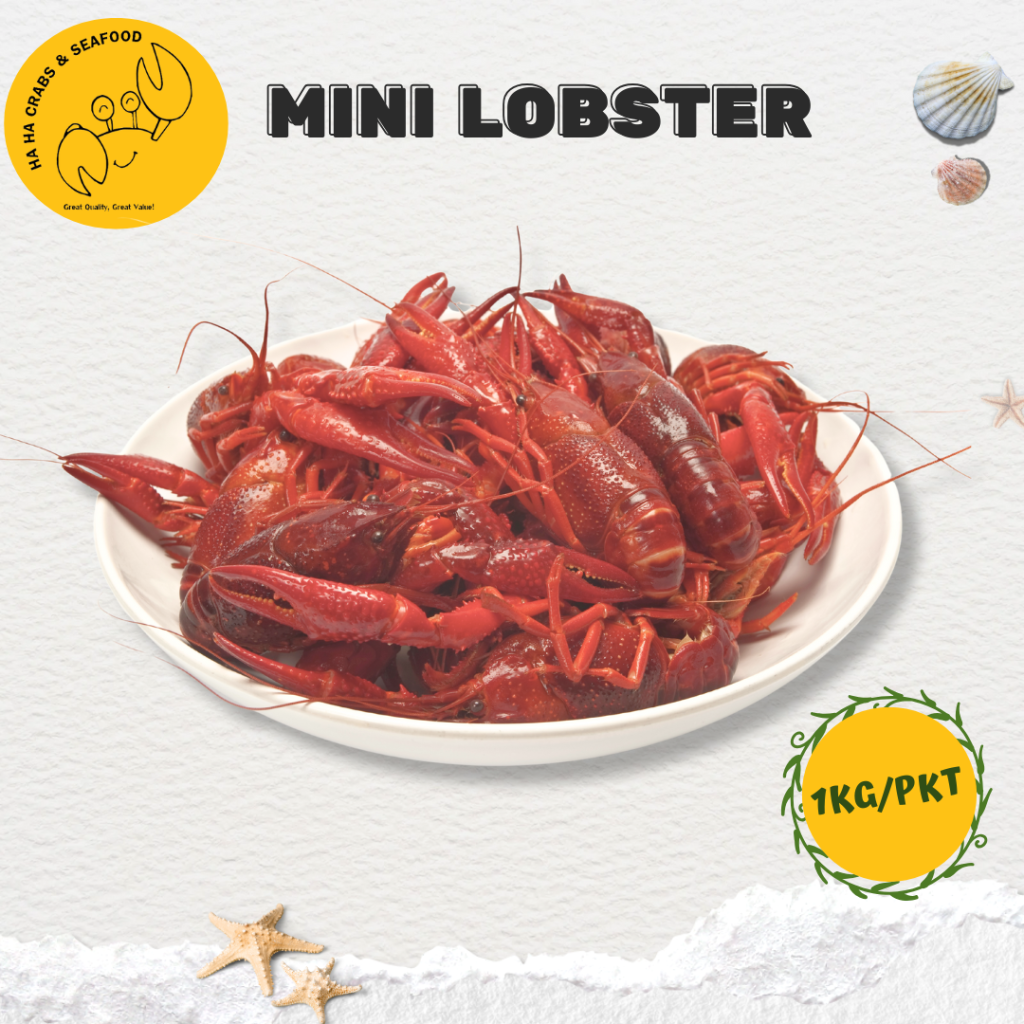 Mini Lobster (1kg/pkt) - Ha Ha Crabs and Seafood